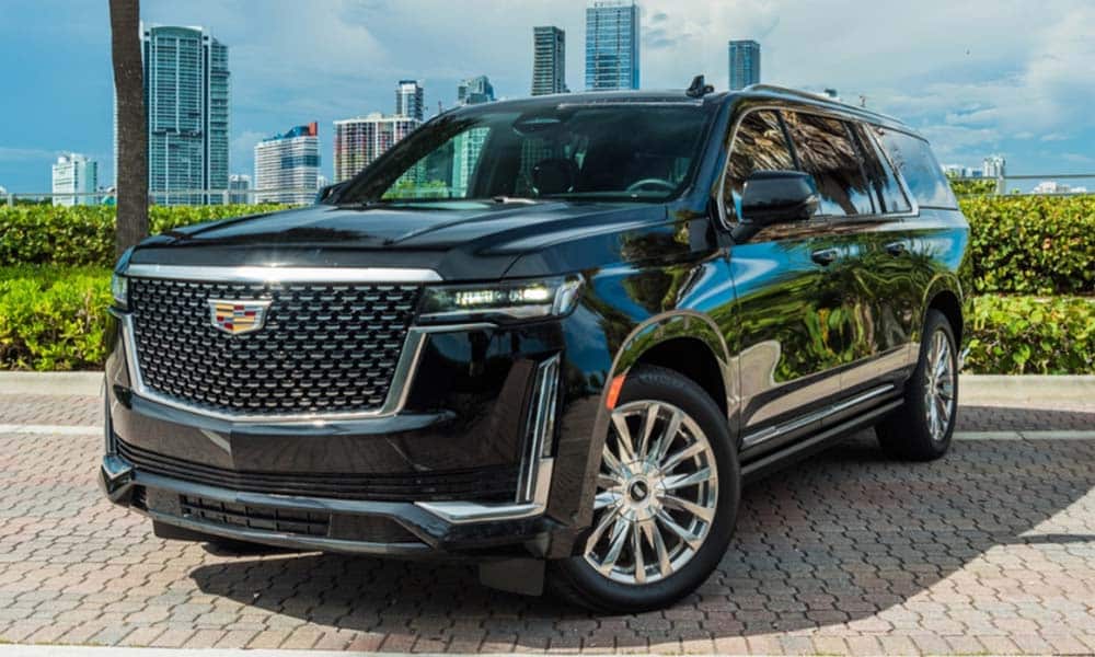 Luxurious Black Car Fleet in Miami