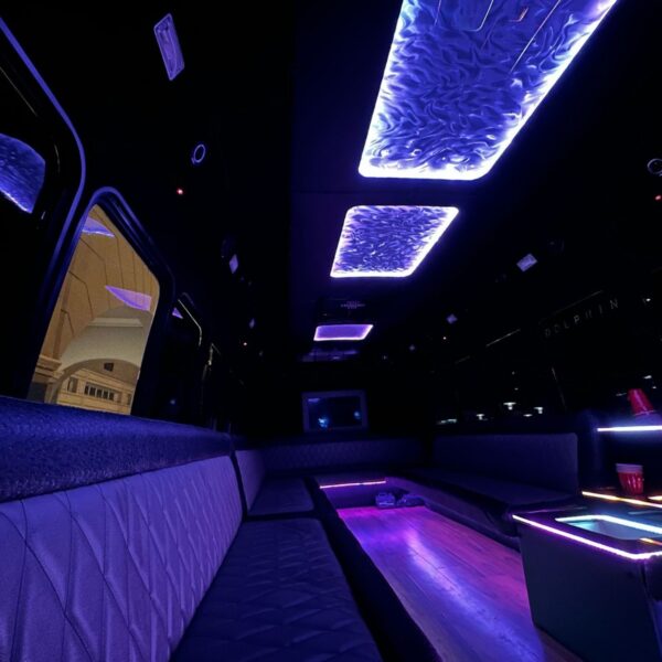 29 Pax Black Party Bus Rental | BLACKCAR-MIA